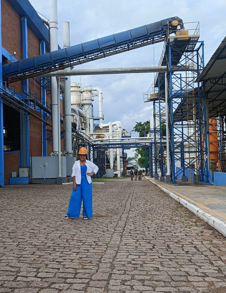 Tudo sobre a nossa visita guiada à fábrica da Eucatex - Revestindo a Casa